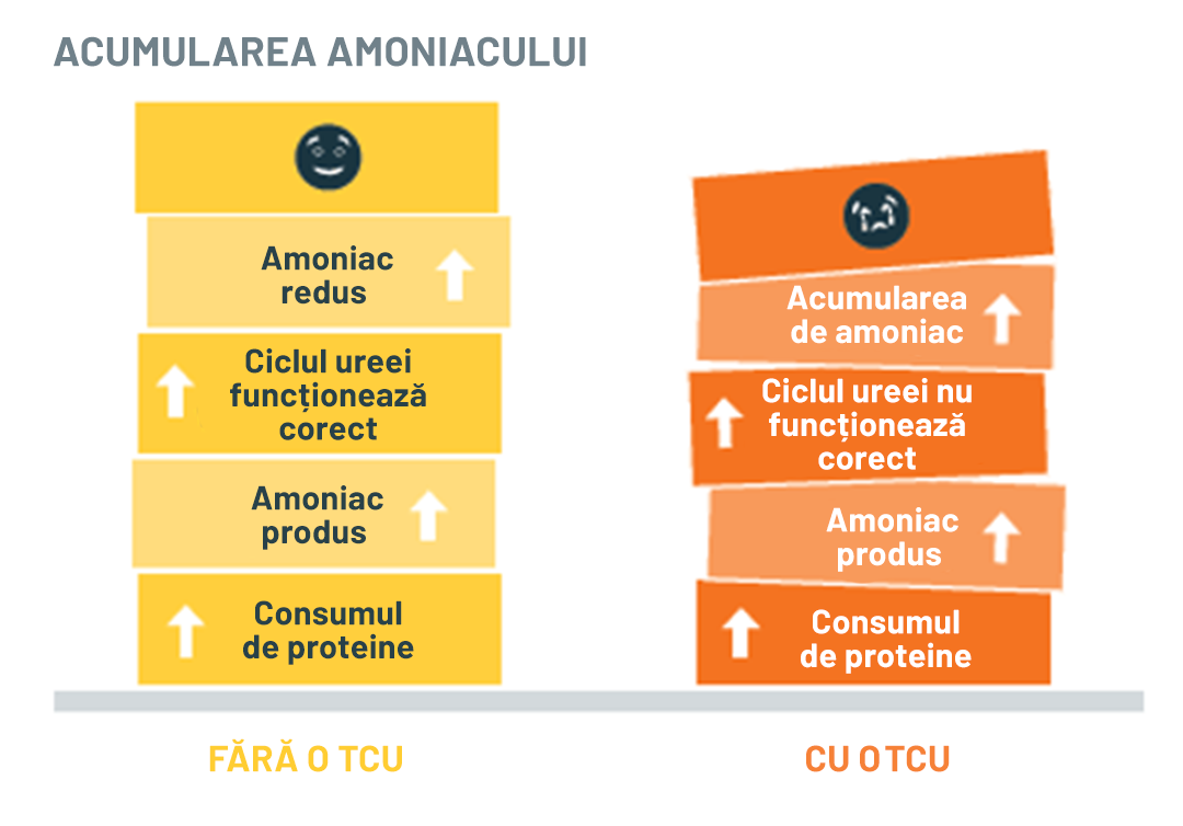 CE ESTE O TCU? - UCDandyou